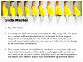 Professional Pregnancy Stages Editable PowerPoint Template