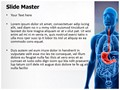 Professional Human Stomach Editable PowerPoint Template