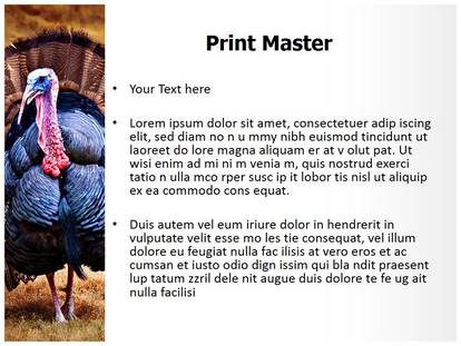 Professional Turkey Editable PowerPoint Template