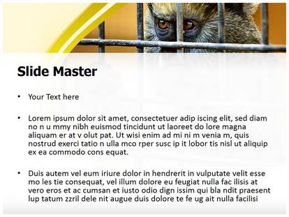 Professional Monkey in Cage Editable PowerPoint Template