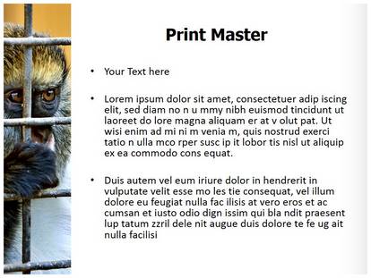 Professional Monkey in Cage Editable PowerPoint Template