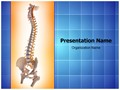 Professional Human Spinal Editable PowerPoint Template
