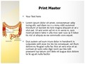 Professional Digestive Colon Pathologies Editable PowerPoint Template