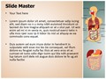 Professional Digestive System Editable PowerPoint Template
