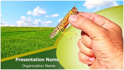 Professional Agricultural Entomology Editable PowerPoint Template