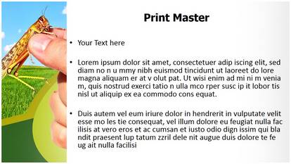 Professional Agricultural Entomology Editable PowerPoint Template