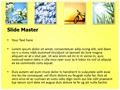 Professional Four Seasons Editable PowerPoint Template
